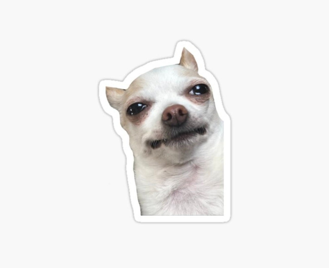 Funny Crying Chihuahua Sticker: Meme Dog Laptop Decal - Etsy