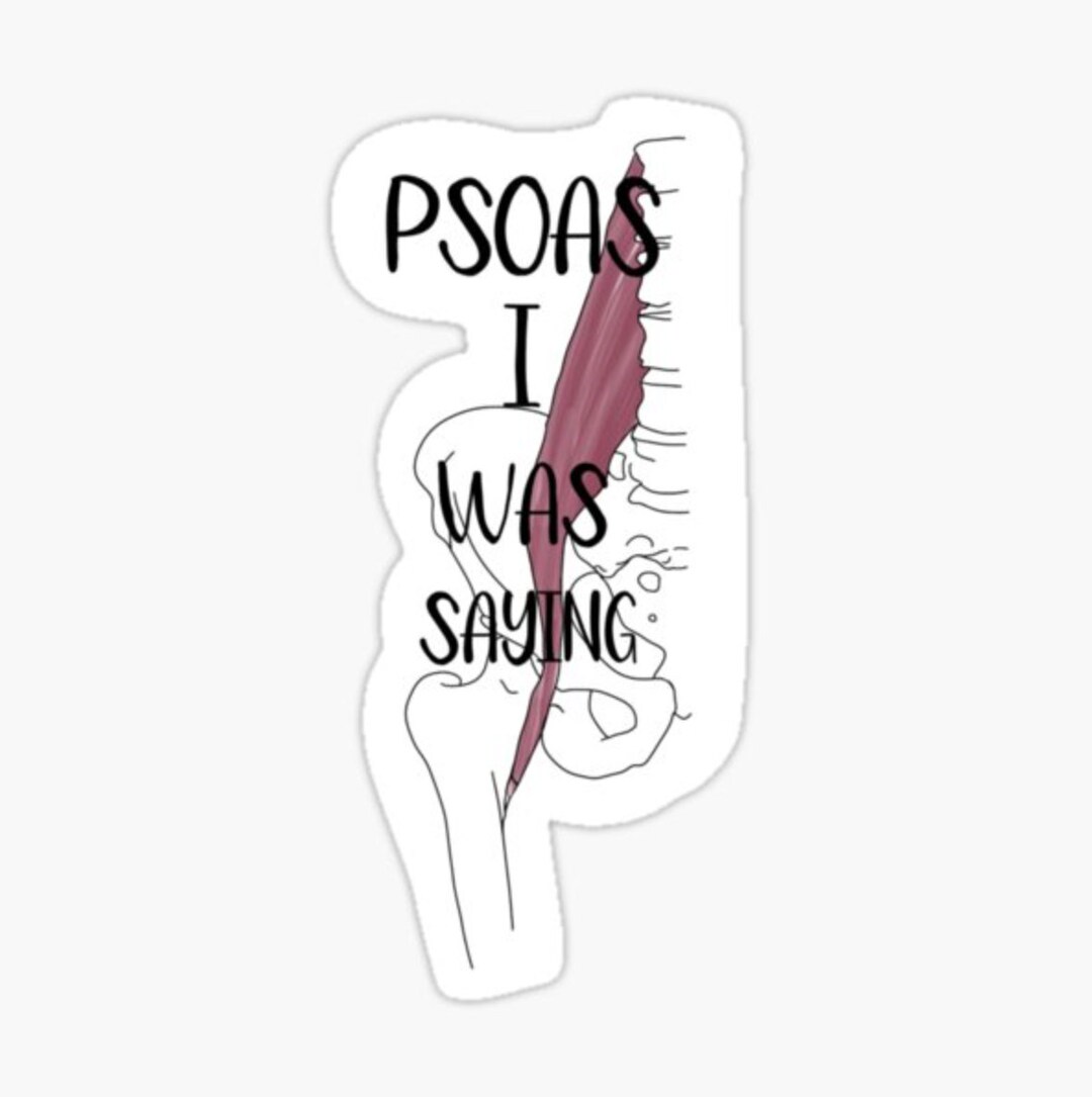 Punny "psoas I Was Saying" Sticker | Funny Anatomy Sticker for Medical ...