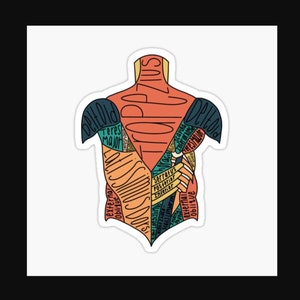 Back Muscle Anatomy Sticker | Muscular System Sticker | Colorful Study ...