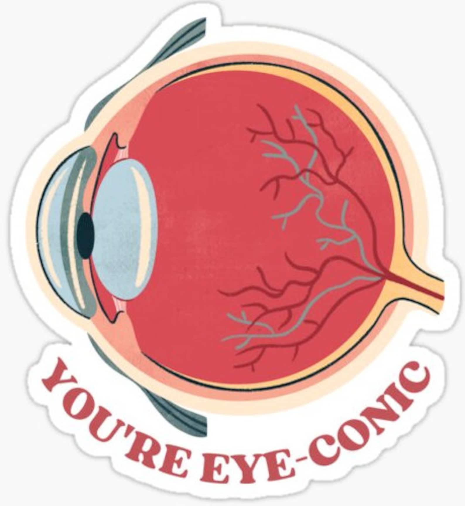 Eye Anatomy "you're Eye-conic" Pun Sticker: Ophthalmology Gift - Etsy