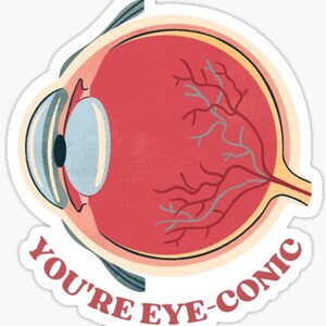 Eye Anatomy "you're Eye-conic" Pun Sticker: Ophthalmology Gift - Etsy