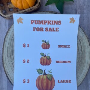 Dramatic Play/ Pretend Play/ Pumpkin Patch/ Preschool Printables ...