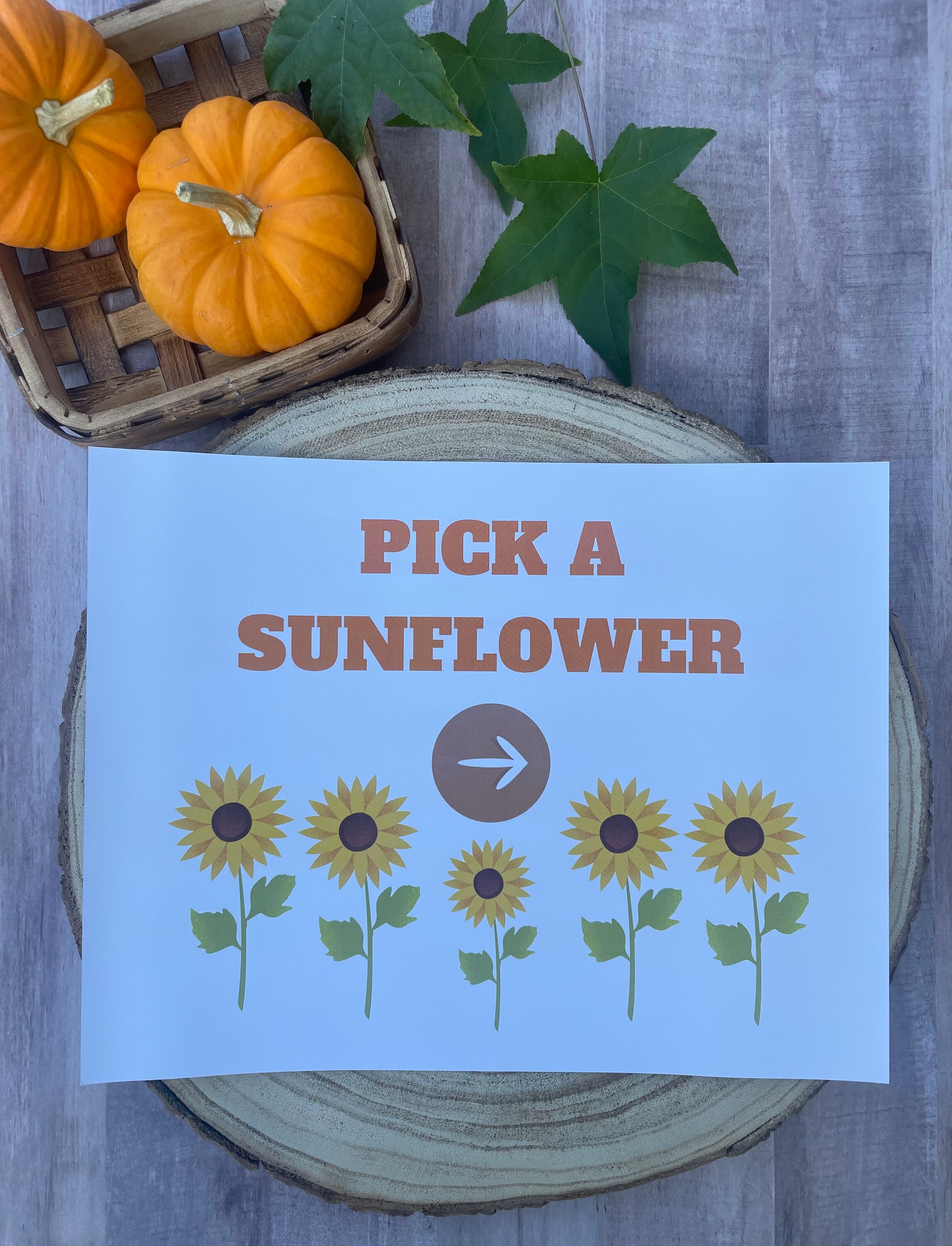 Dramatic Play/ Pretend Play/ Pumpkin Patch/ Preschool Printables ...