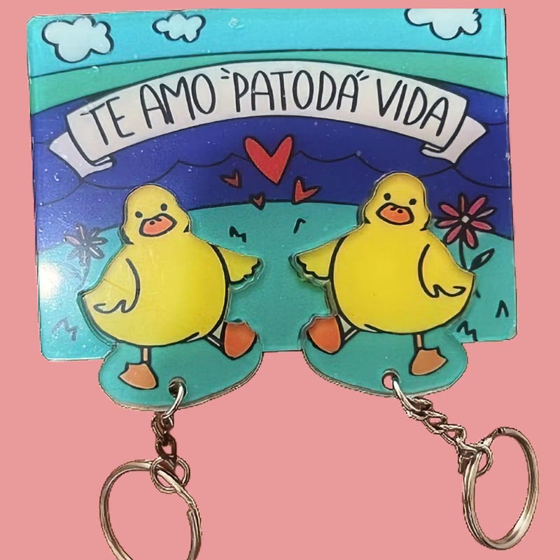 Key Holder for Wall Ducks - Etsy