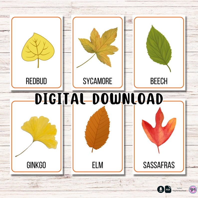 Autumn Leaves Learning Flashcards Fall Printable, Montessori ...