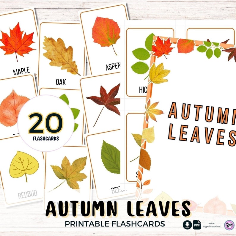 Autumn Leaves Learning Flashcards Fall Printable, Montessori ...