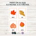 Autumn Leaves Learning Flashcards Fall Printable, Montessori ...