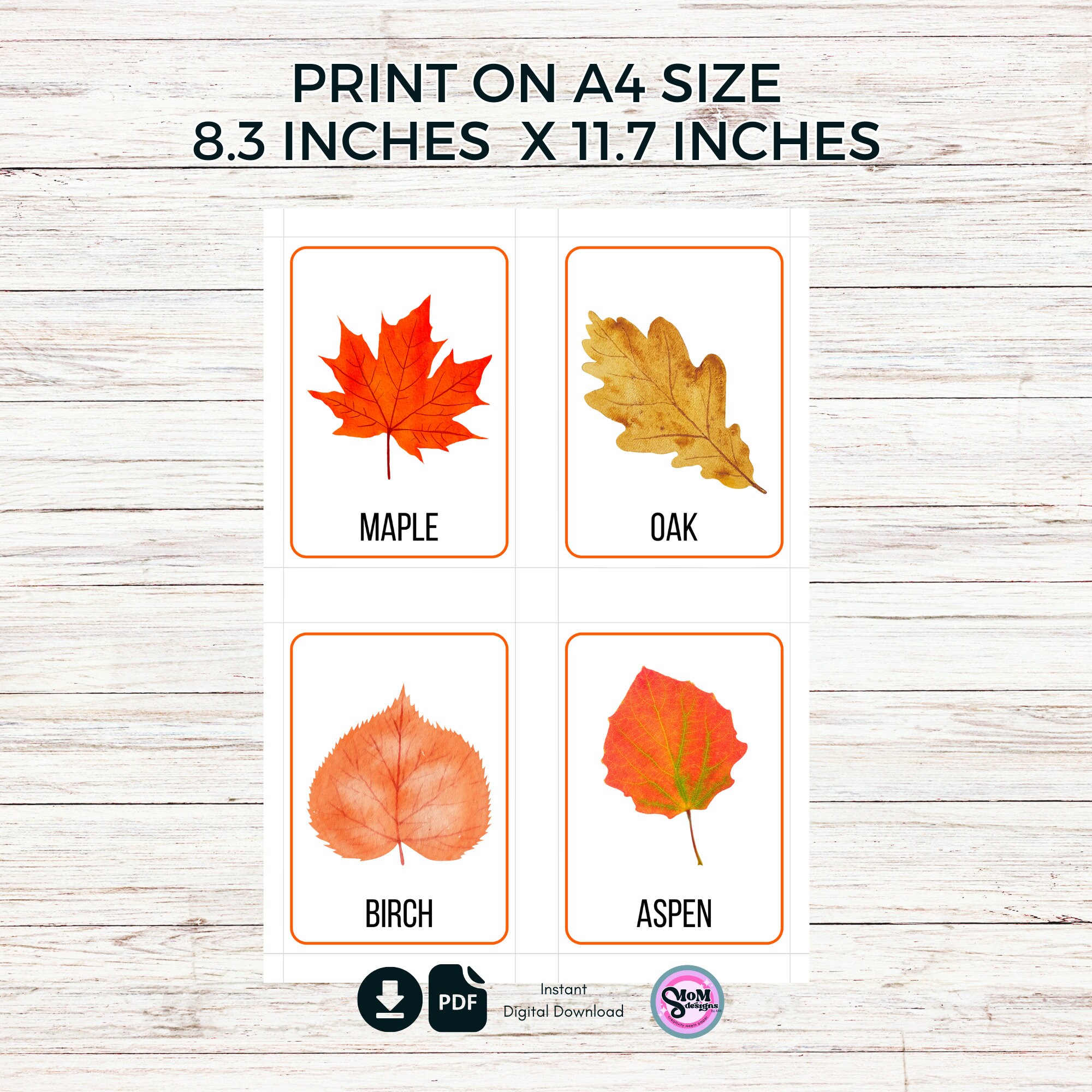Autumn Leaves Learning Flashcards Fall Printable, Montessori ...