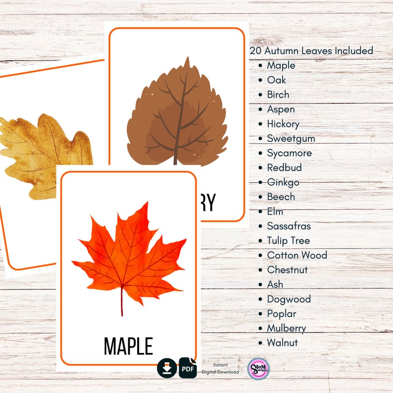 Autumn Leaves Learning Flashcards Fall Printable, Montessori ...