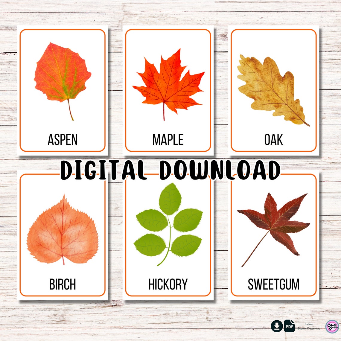 Autumn Leaves Learning Flashcards Fall Printable, Montessori ...
