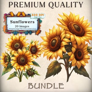 Sunflower Clipart Bundle: PNG & SVG Bright Sunflower Illustrations ...