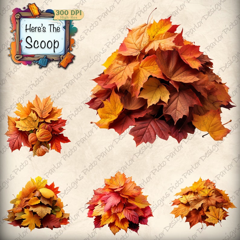 Autumn Leaves Clipart Bundle: PNG & SVG Leaf Clipart Seasonal - Etsy