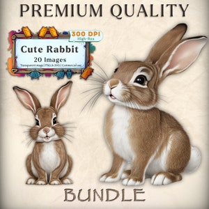 Rabbit Clipart Bundle: PNG & SVG Cute Bunny Clipart Adorable Rabbit ...