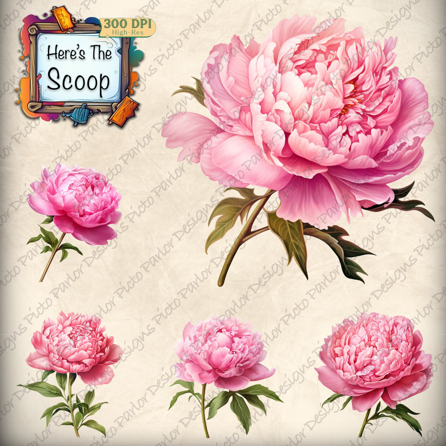 Pink Peony Clipart Bundle: PNG & SVG Flower Clipart Floral Clipart Pink ...
