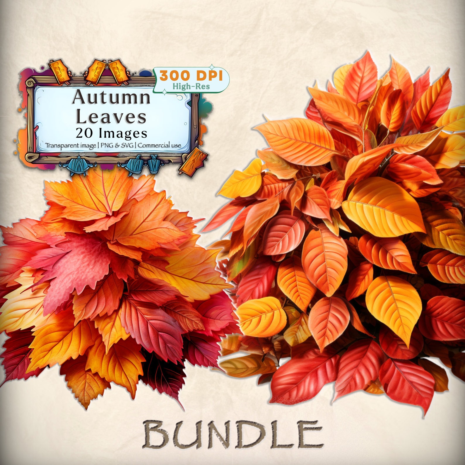 Autumn Leaves Clipart Bundle: PNG & SVG Leaf Clipart Seasonal Clipart ...