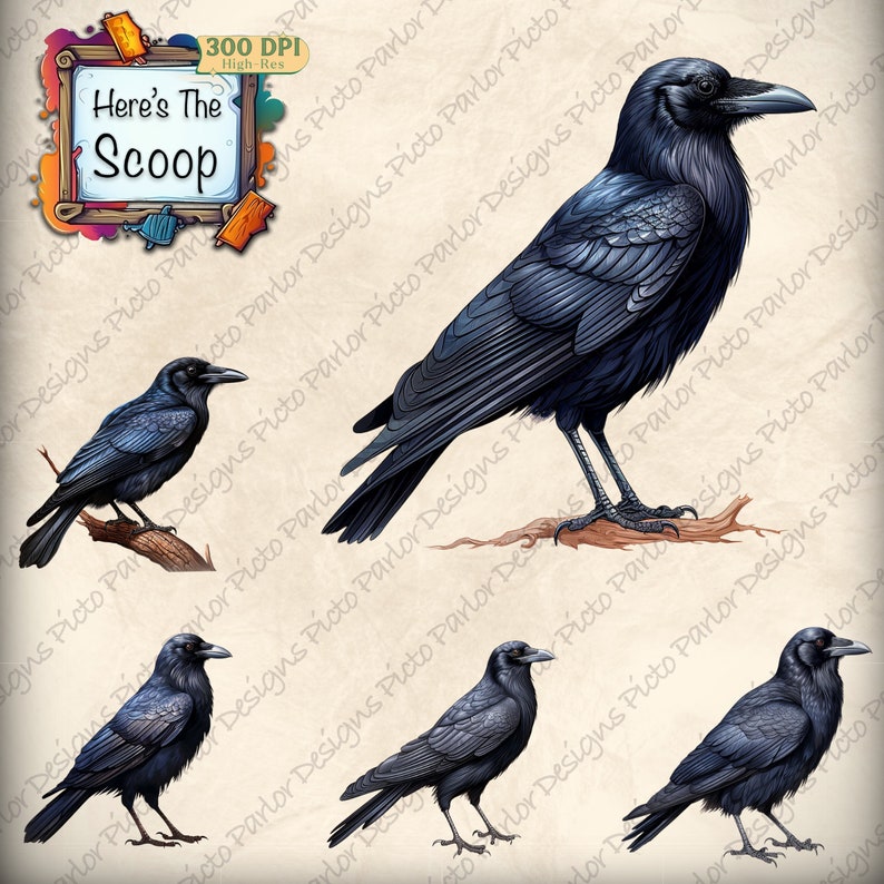 Crow Clipart Bundle: PNG & SVG Raven Clipart Animal Clipart Bird ...