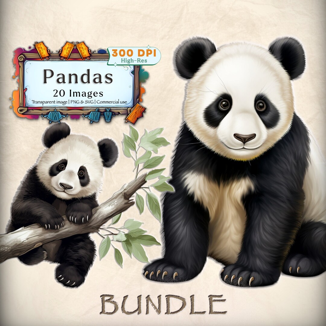 Panda Clipart Bundle: PNG & SVG Wild Animal Clipart Coon Bear Clipart ...