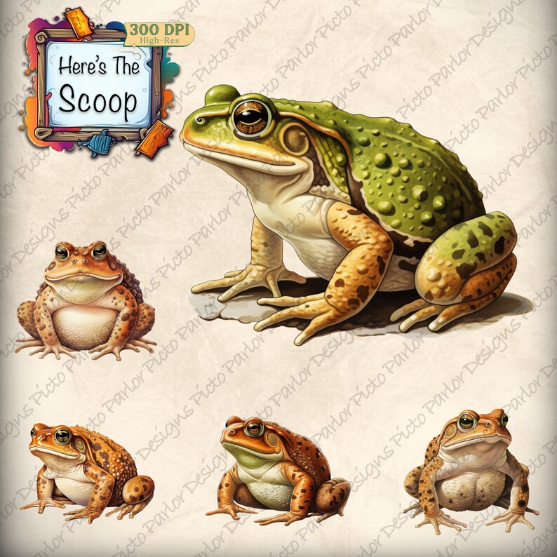 Toad Clipart Bundle: PNG & SVG Animal Clipart Frog Clipart Toad Clipart ...