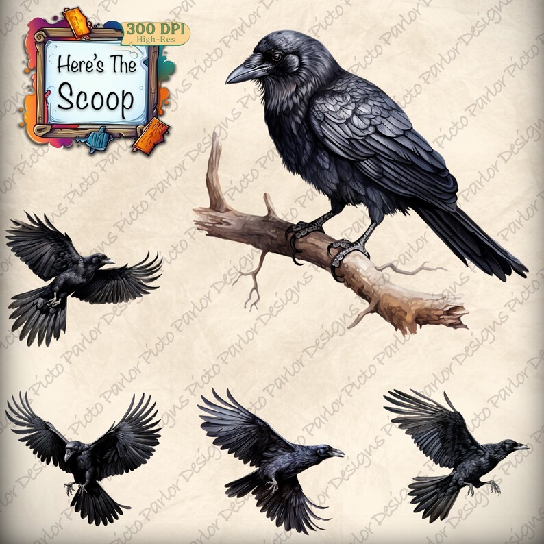 Crow Clipart Bundle: PNG & SVG Raven Clipart Animal Clipart Bird ...