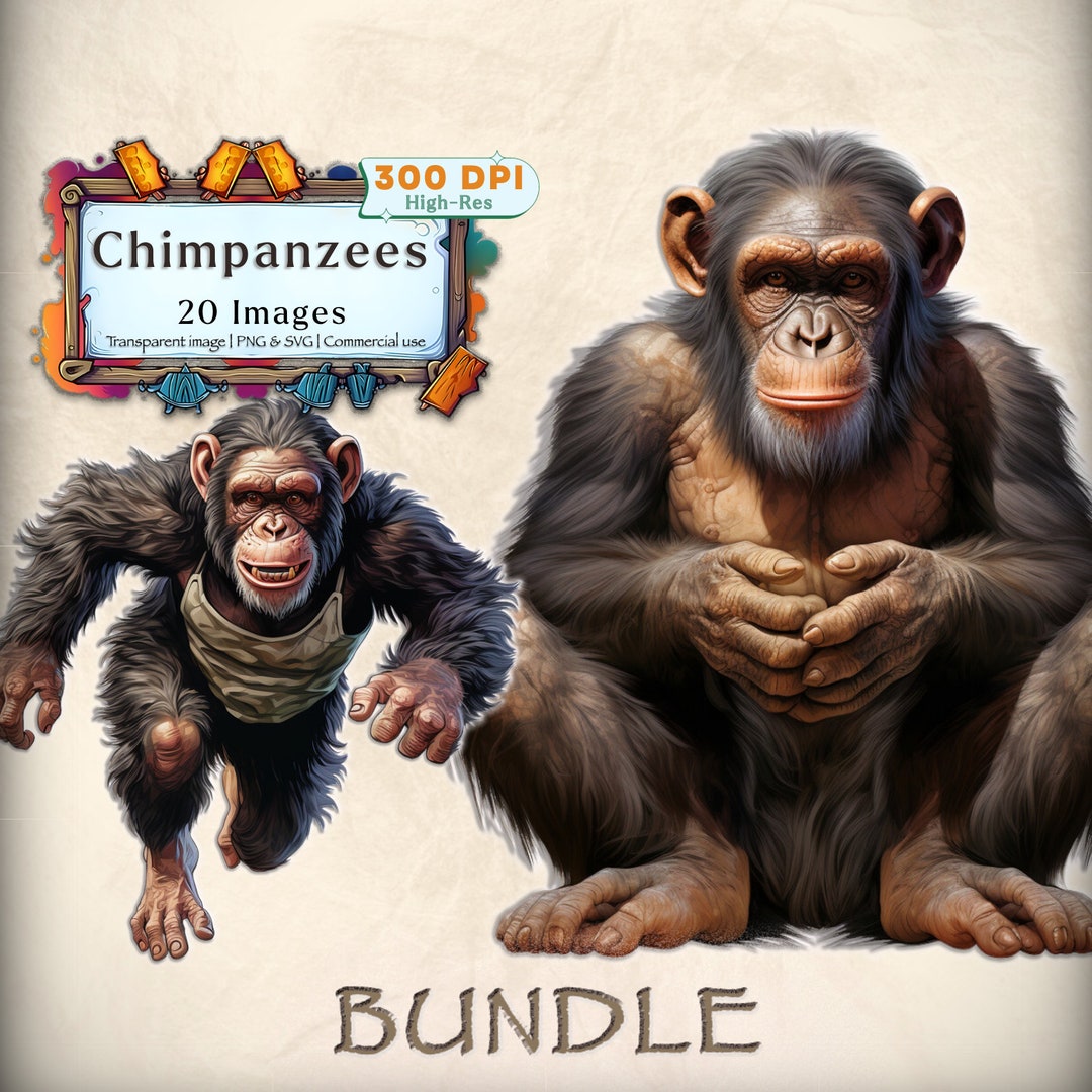 Buy Chimpanzee Clipart Bundle: PNG & SVG Neanderthal Clipart Online in ...