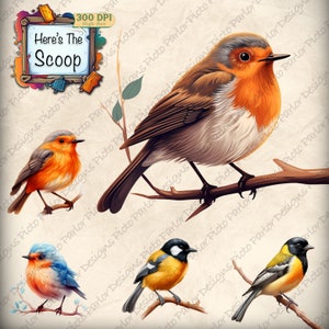 Birds on Branches Clipart Bundle: PNG & SVG Birds Clipart Birds Animal ...