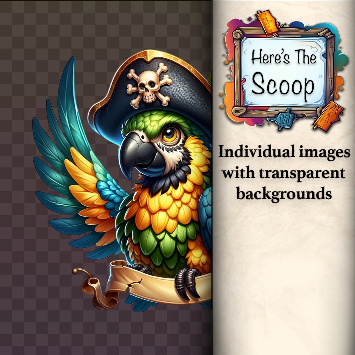 Pirate Parrot Clipart Bundle: PNG & SVG Colorful Pirate Bird Clipart ...