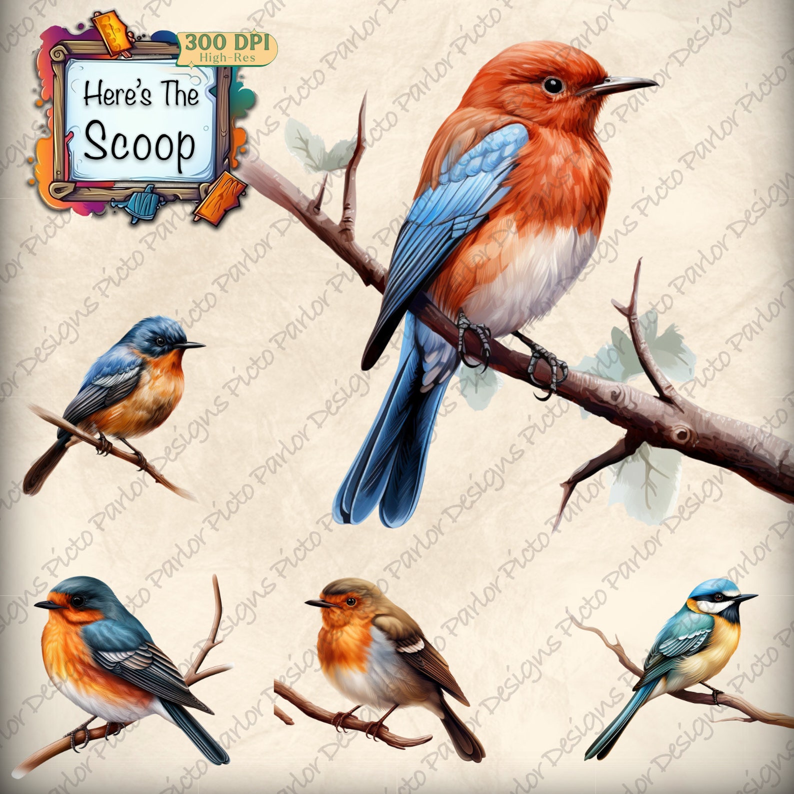 Birds on Branches Clipart Bundle: PNG & SVG Birds Clipart Birds Animal ...