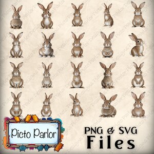 Rabbit Clipart Bundle: PNG & SVG Cute Bunny Clipart Adorable Rabbit ...