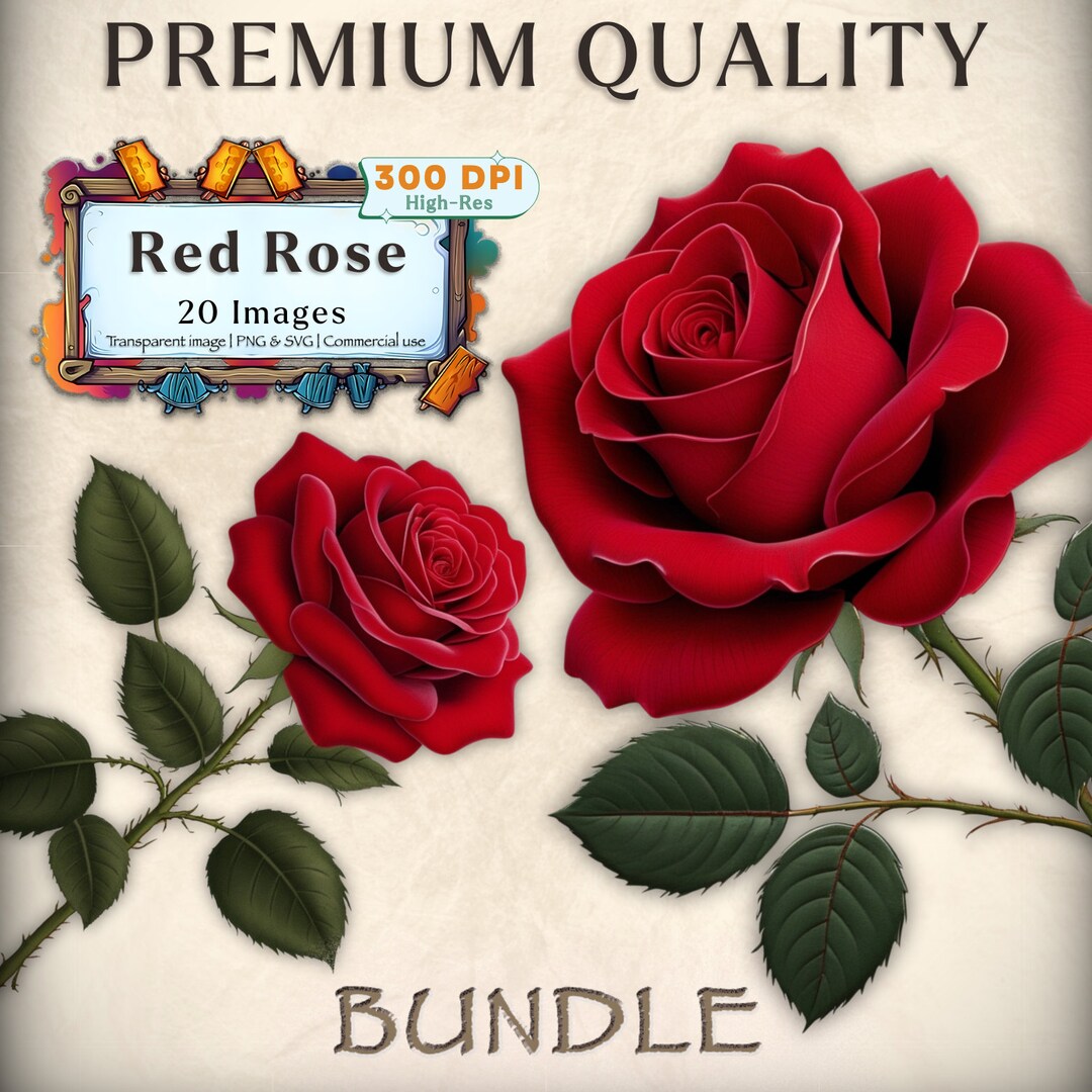 Rote Rose Clipart Bundle: PNG & SVG Romantische Blumen ClipArt Schöne ...