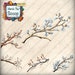 Winter Branch Clipart Bundle: PNG & SVG Seasonal Clipart Winter Clipart ...