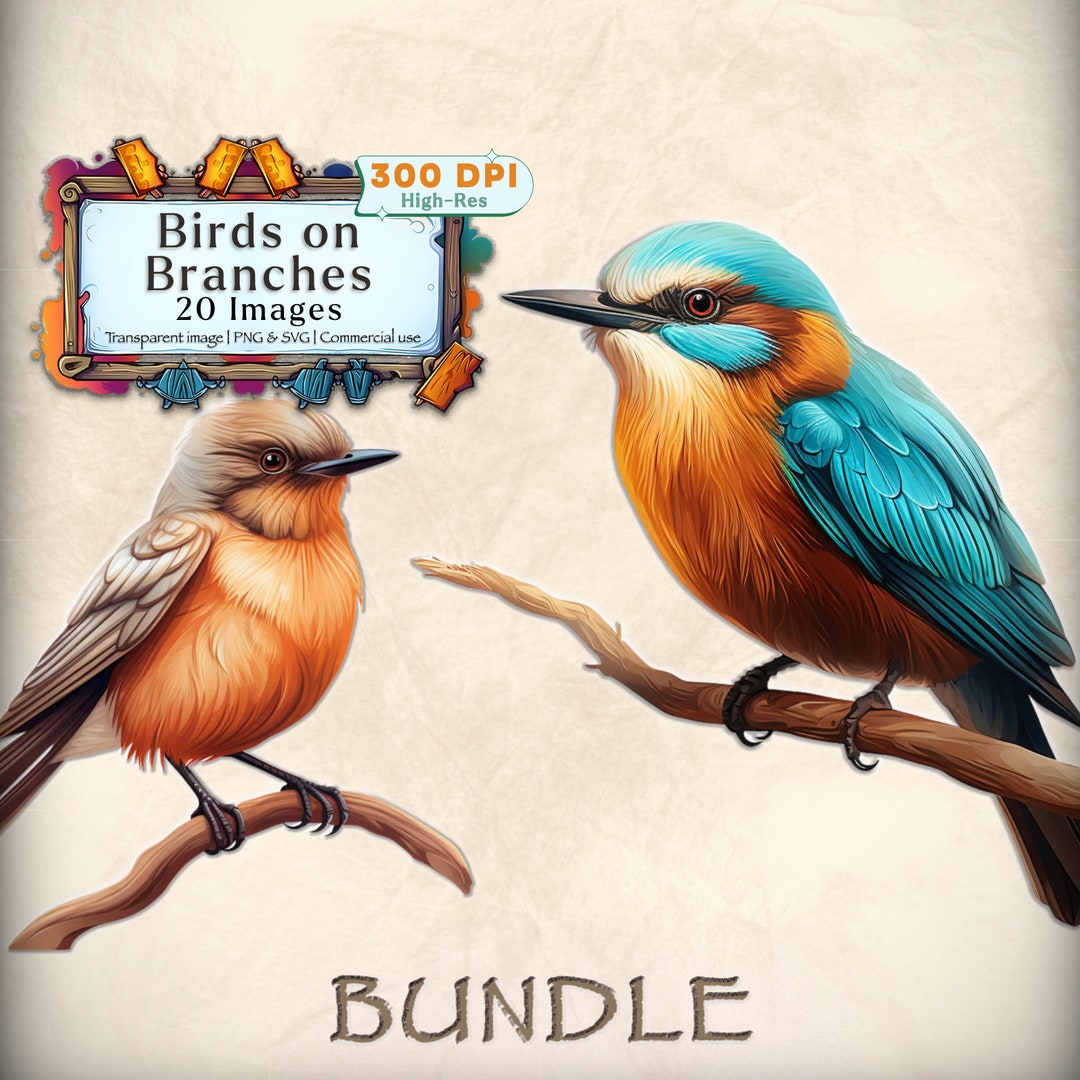 Birds on Branches Clipart Bundle: PNG & SVG Birds Clipart Birds Animal ...