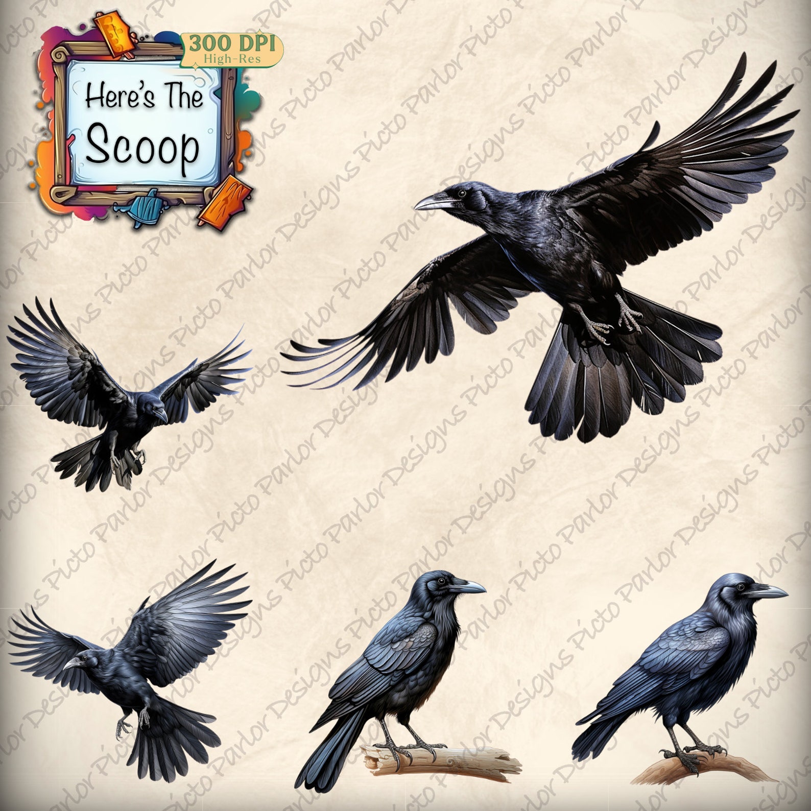 Crow Clipart Bundle: PNG & SVG Raven Clipart Animal Clipart Bird ...
