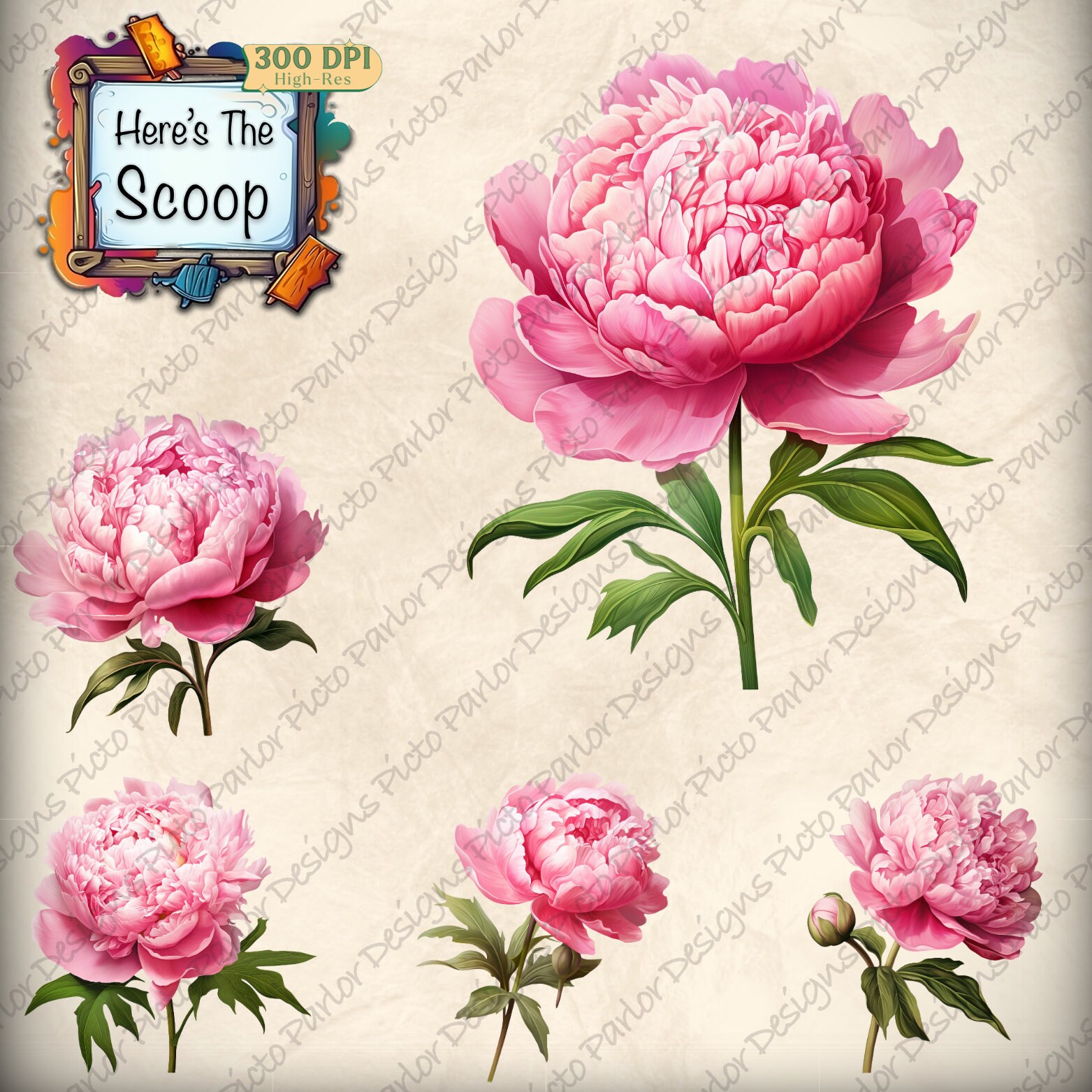 Pink Peony Clipart Bundle: PNG & SVG Flower Clipart Floral Clipart Pink ...