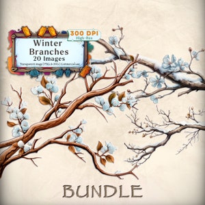 Winter Branch Clipart Bundle: PNG & SVG Seasonal Clipart Winter Clipart ...