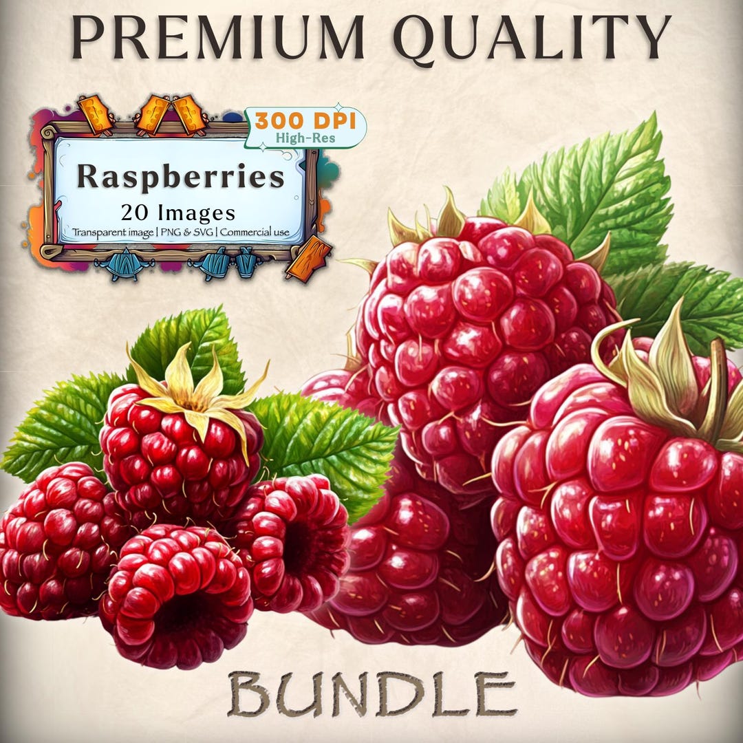 Raspberry Clipart Bundle: PNG & SVG Fresh Raspberry Fruit Illustrations ...