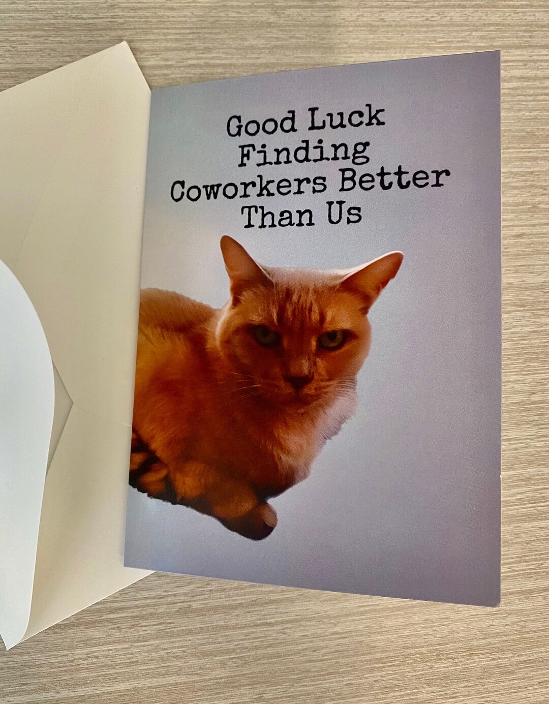Coworker Leaving/ Angry Cat - Etsy