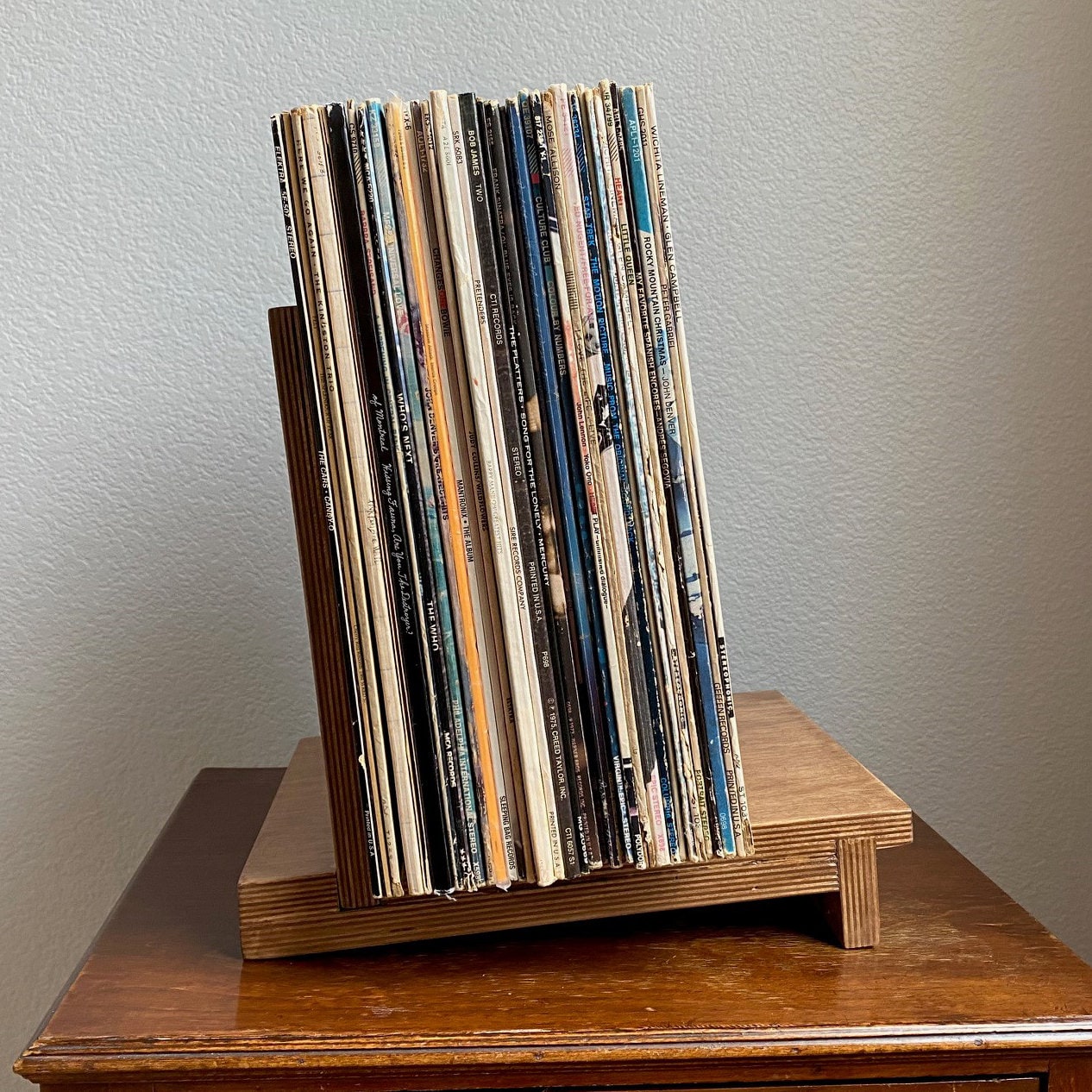 Vinyl LP Record Storage Display, 12 Vinyl Record Organizer, Vinyl ...