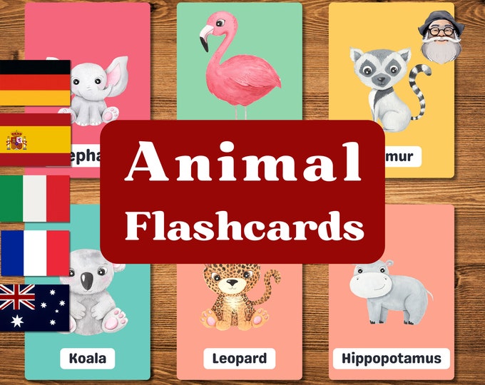 DESERT ANIMALS • 24 Editable Montessori Cards • Flash Cards ...