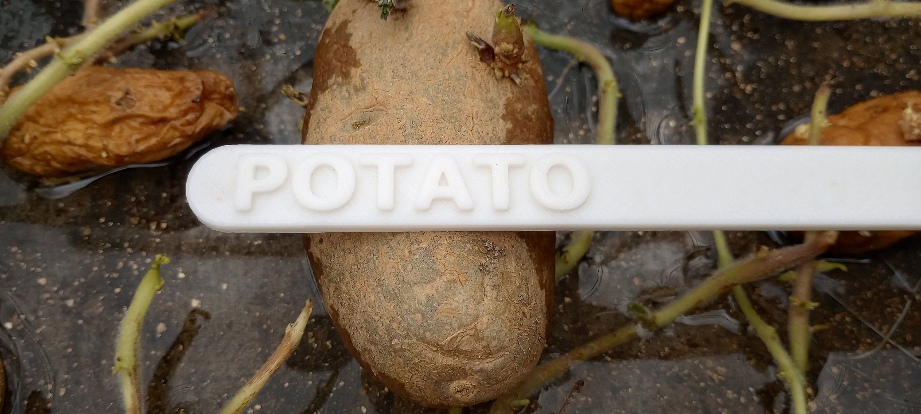 Custom Raised Letter Outdoor Plant Marker Stakes - Etsy