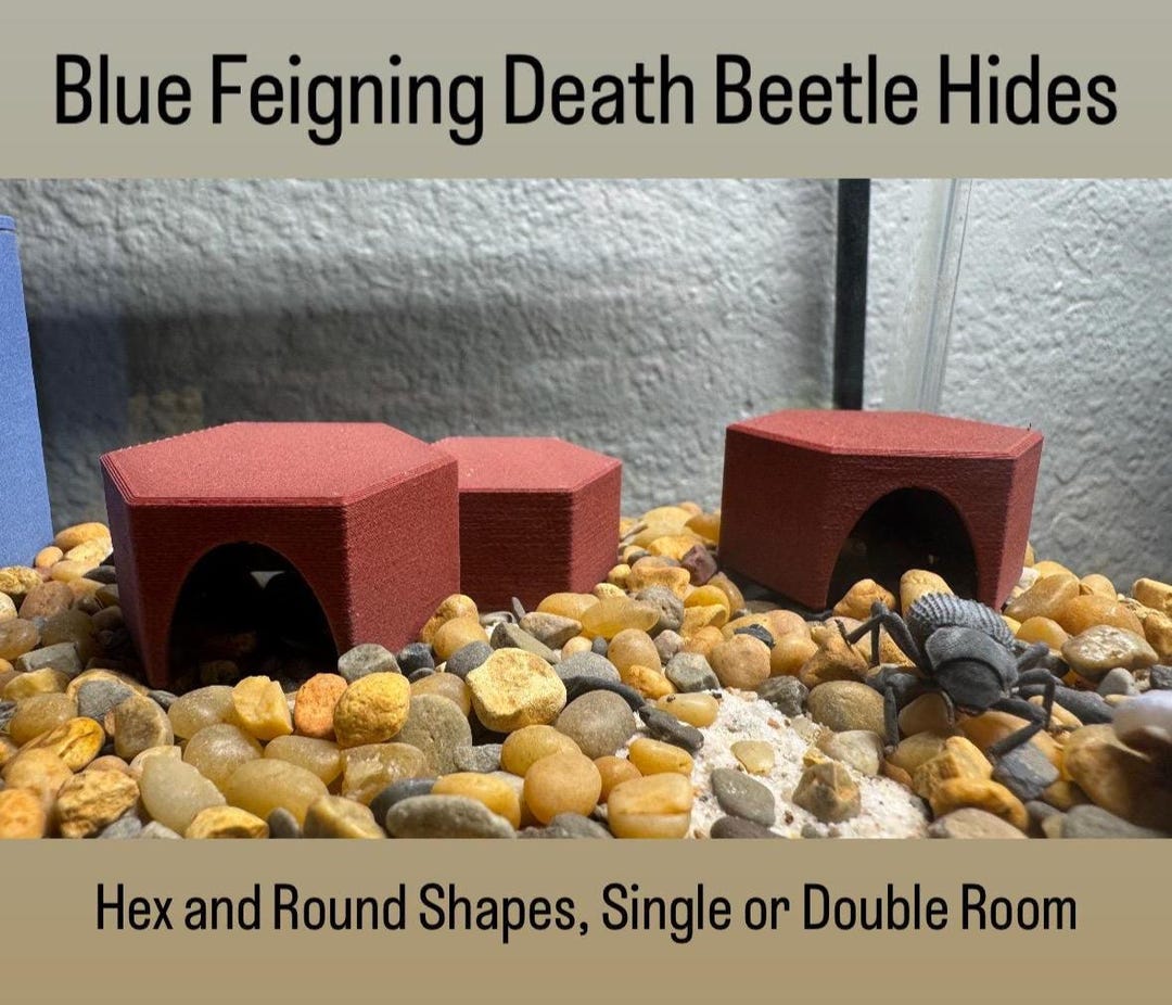 Blue Feigning Death Beetle Hut Hide Hex or Round With Multi-room ...