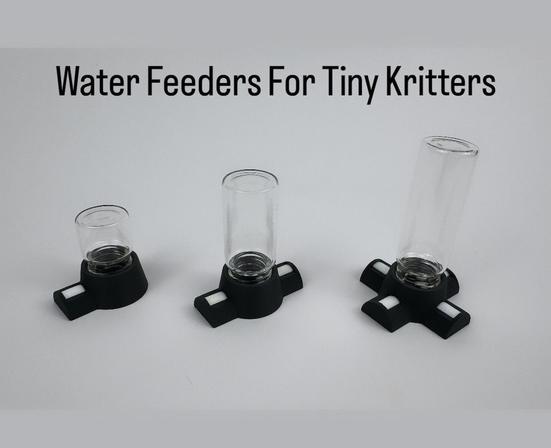 Wicking Water Feeder Trough for Small Pets Insects, Spiders, Tarantulas ...