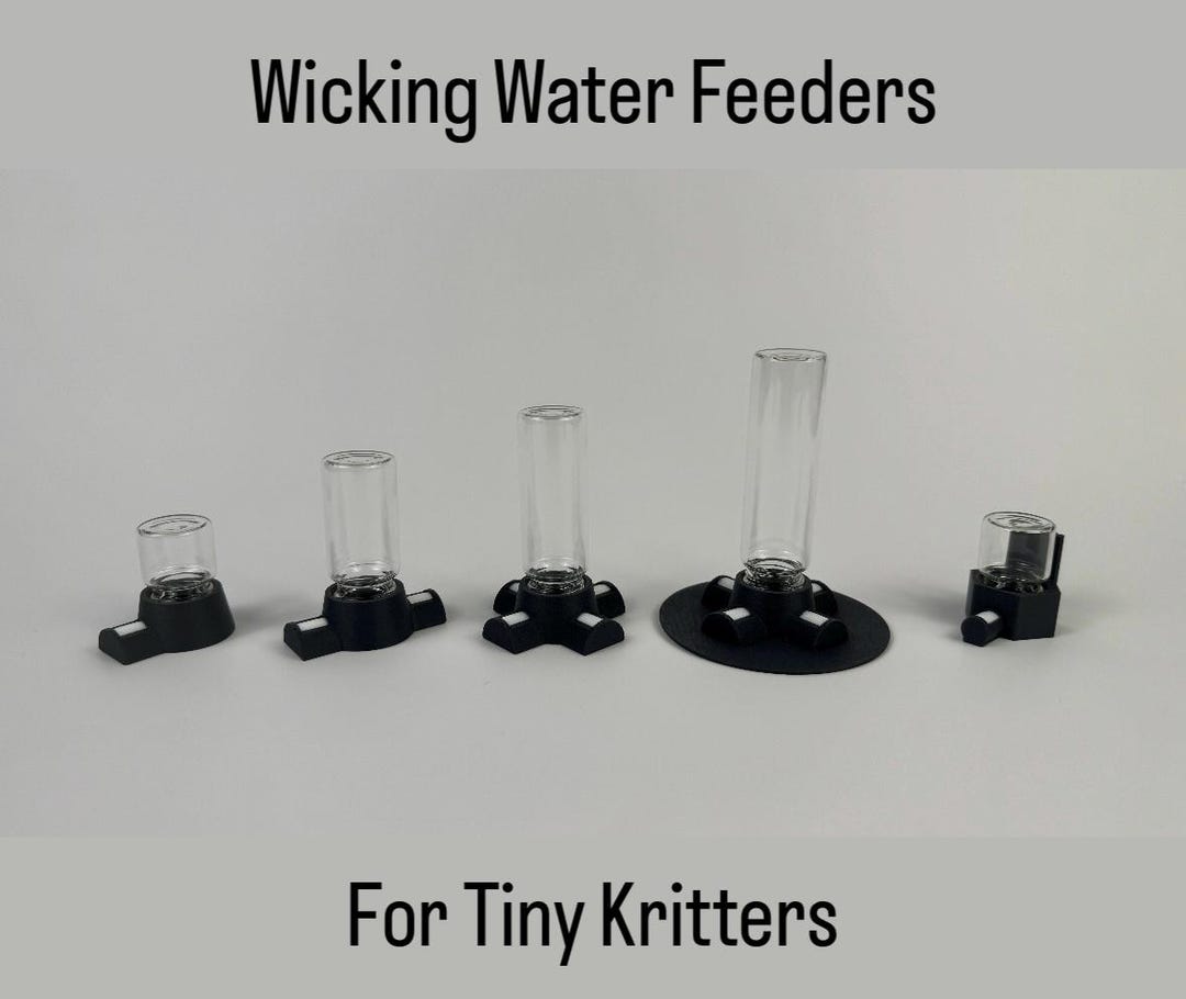 Wicking Water Feeder Trough for Small Pets Insects, Spiders, Tarantulas ...