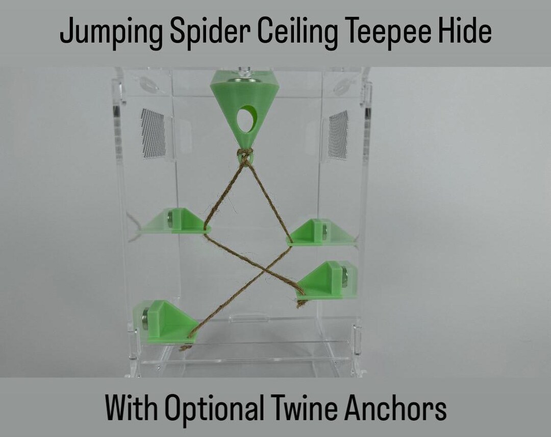 Jumping Spider Magnetic Inverted Ceiling Teepee Hide With Twine Attach ...