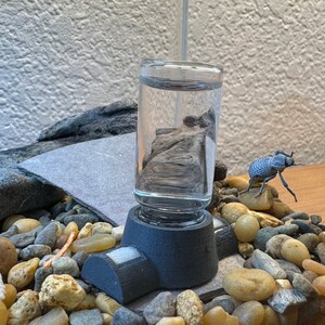 Wicking Water Feeder Trough for Small Pets Insects, Spiders, Tarantulas ...