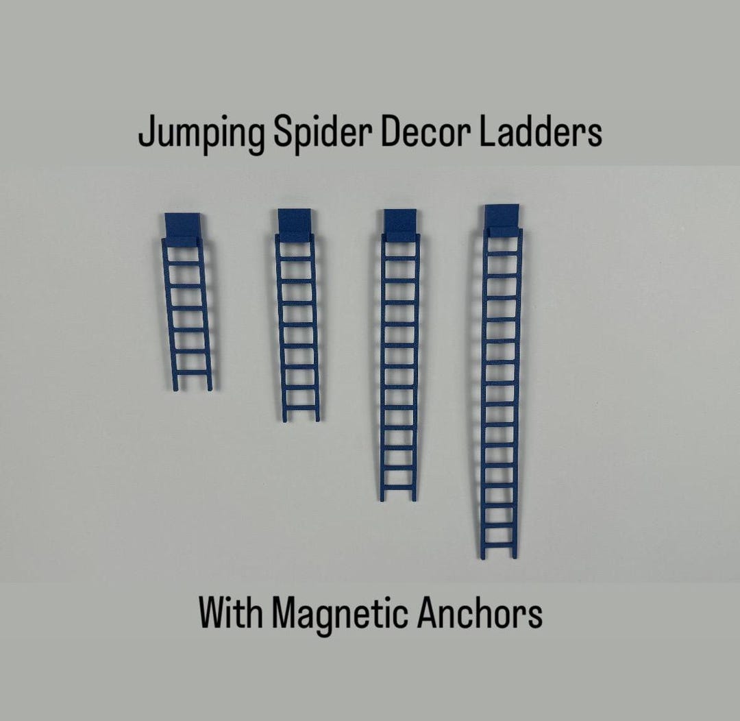 Jumping Spider Enclosure Decor Ladders With Magnetic Anchors, Embedded ...