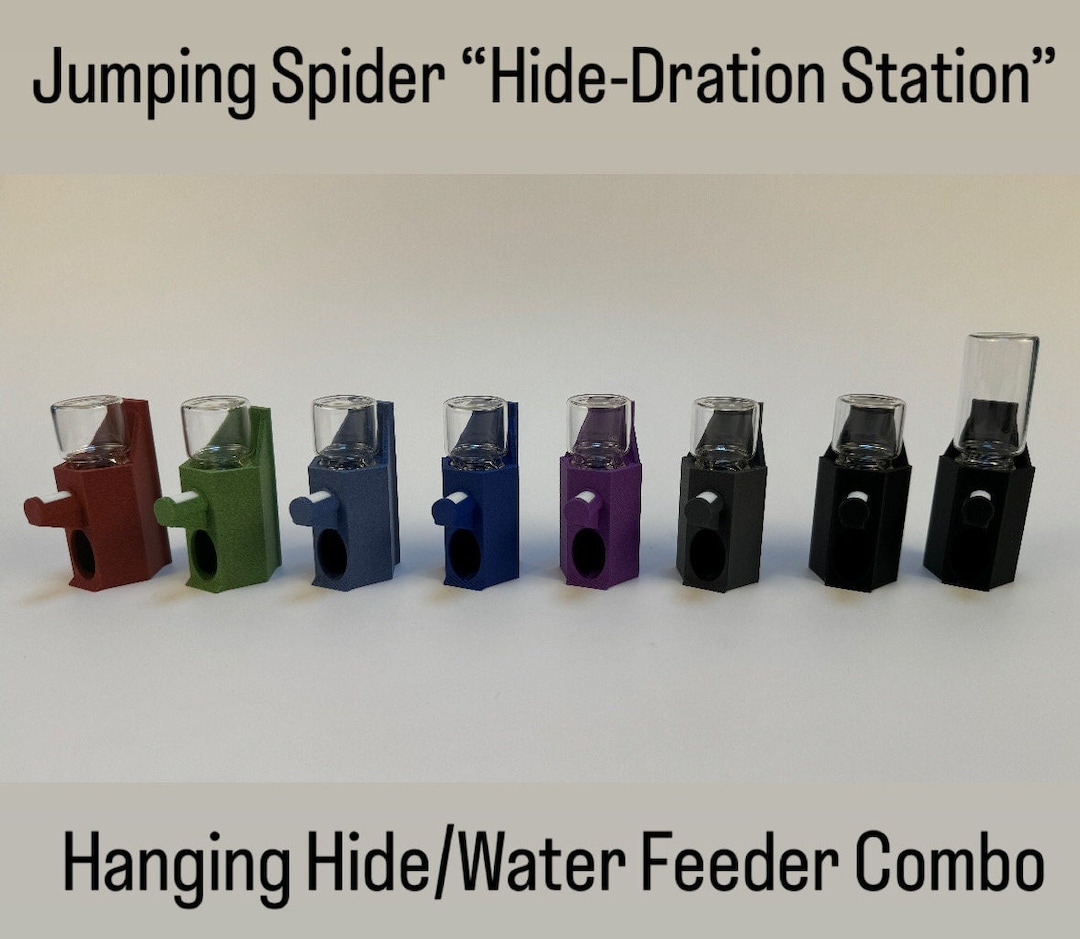 Jumping Spider "hide-dration Station" Magnetic Hanging Hide and ...