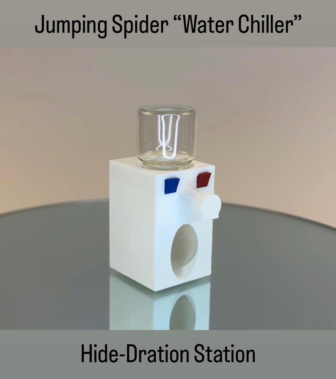 Jumping Spider "water Chiller Hide-dration Station" Magnetic Hanging ...