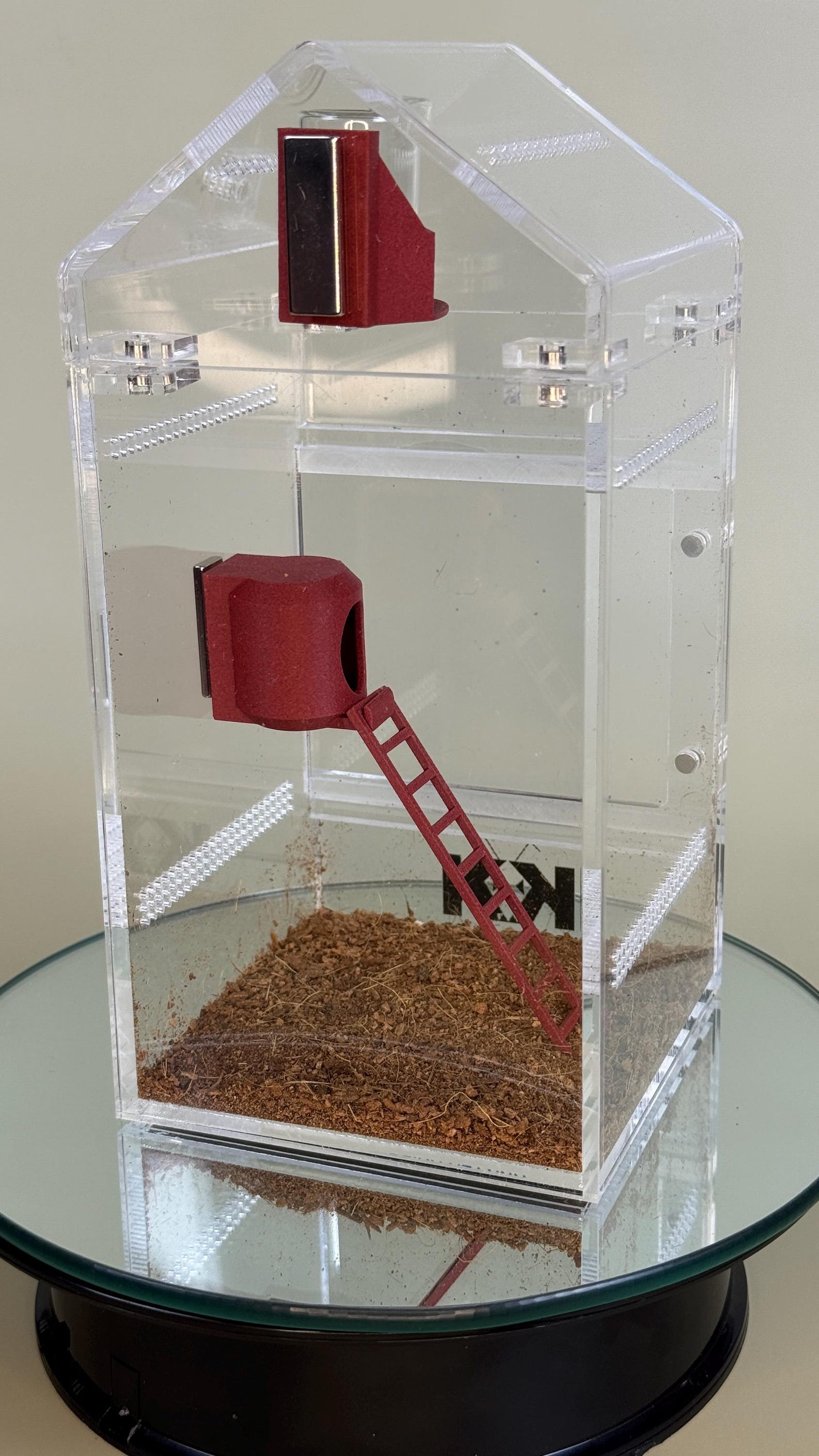 Custom Jumping Spider Enclosure From Kritter Kribs With Magnetic ...