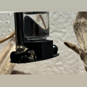 The Original Jumping Spider Water Station Hanging Magnetic Wicking ...