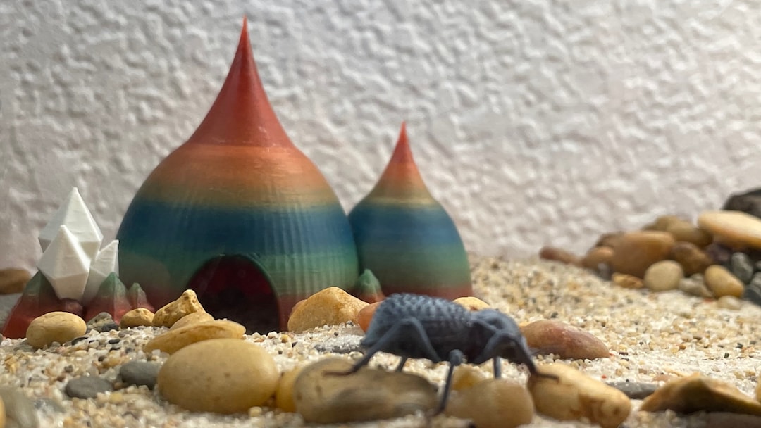 Terrarium Dome Hide Hut for Beetles, Tarantulas, Isopods, Insects - Etsy